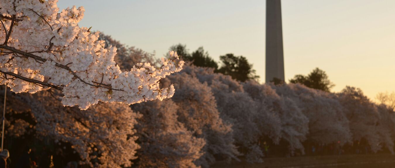BIS's new enforcement guidance clarifies license requirement for ...